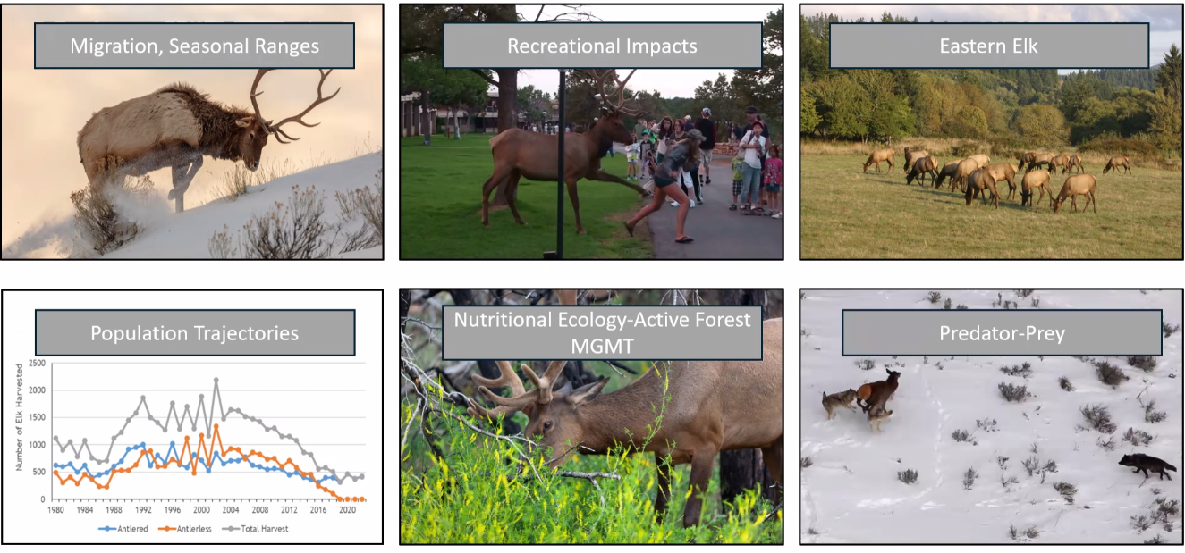 RMEF Wildlife Research Lead Shares Scientific Journey Insights | RMEF ...