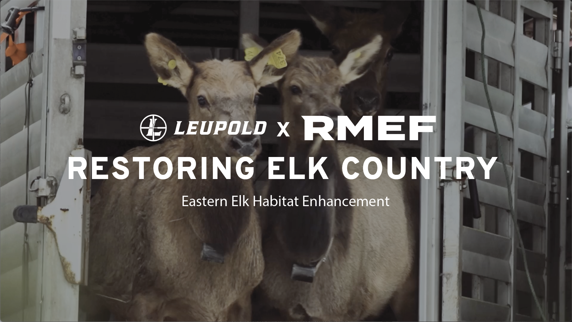 Restoring Elk Country - Eastern Elk Habitat Enhancement | RMEF Media ...