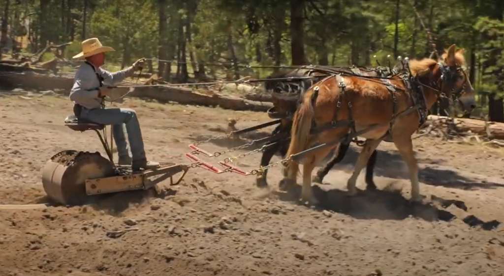 Wildlife Water Sources Renovated in Arizona | RMEF Media | Rocky ...