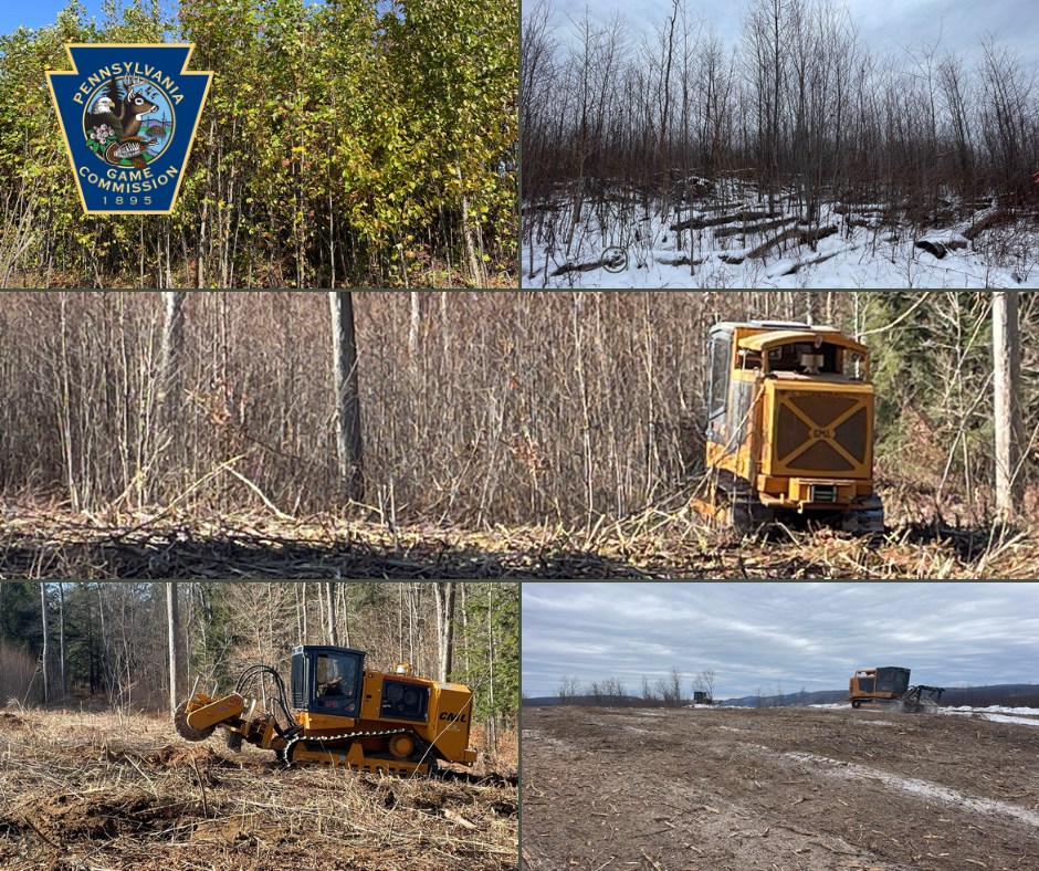 Elk Habitat Improved in Pennsylvania | RMEF Media | Rocky Mountain Elk ...