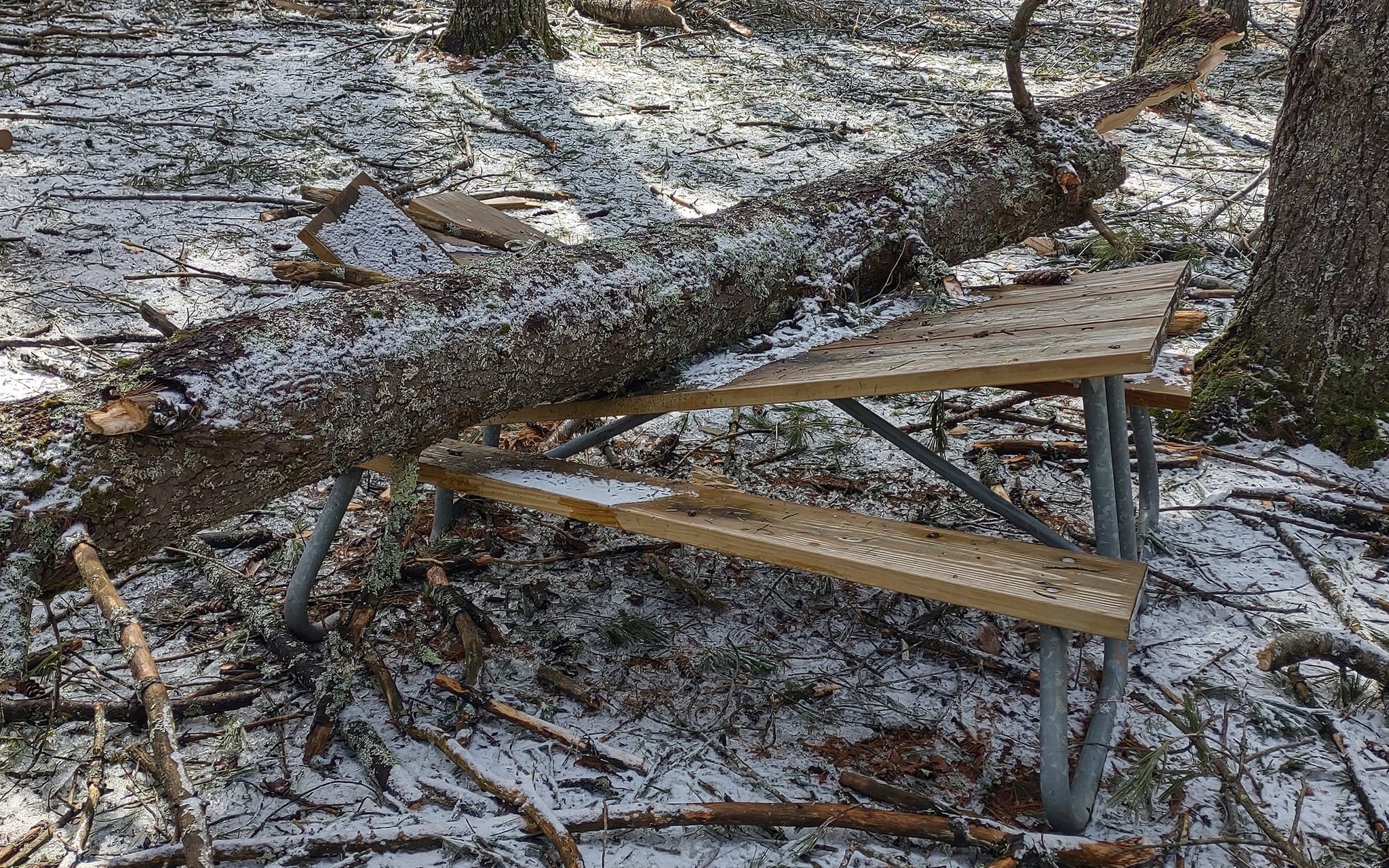 Storm’s Silver Lining Helps Feed Michigan Elk | RMEF Media | Rocky ...