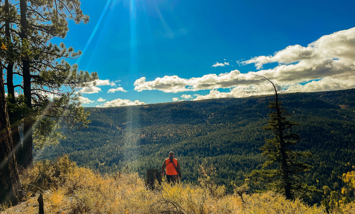 Washington Approves New 2025-2026 Hunting Rules | RMEF Media | Rocky ...