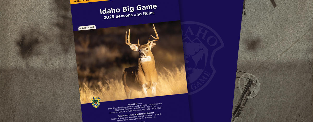 Idaho’s Controlled Hunt Application Period Open for Elk, Other Species ...
