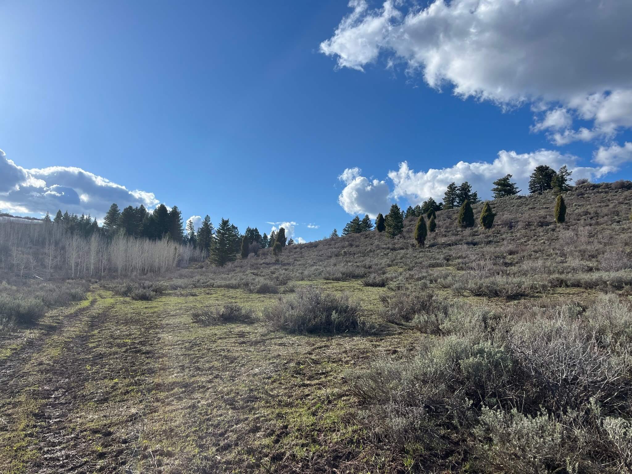 Big Game Hunting on Hold, for Now, at National Wildlife Refuge in Idaho ...