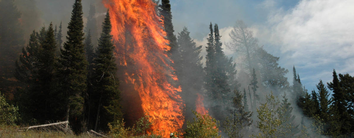 Hunters, Anglers, Campers Should Know Current Fire Restrictions | RMEF ...