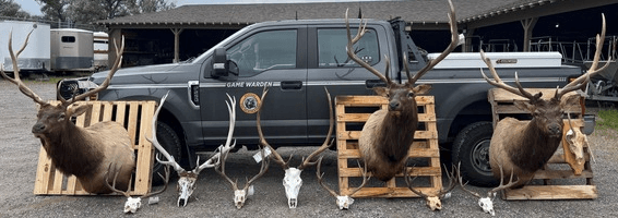 Six Men Charged in Montana Elk Poaching Case | RMEF Media | Rocky ...