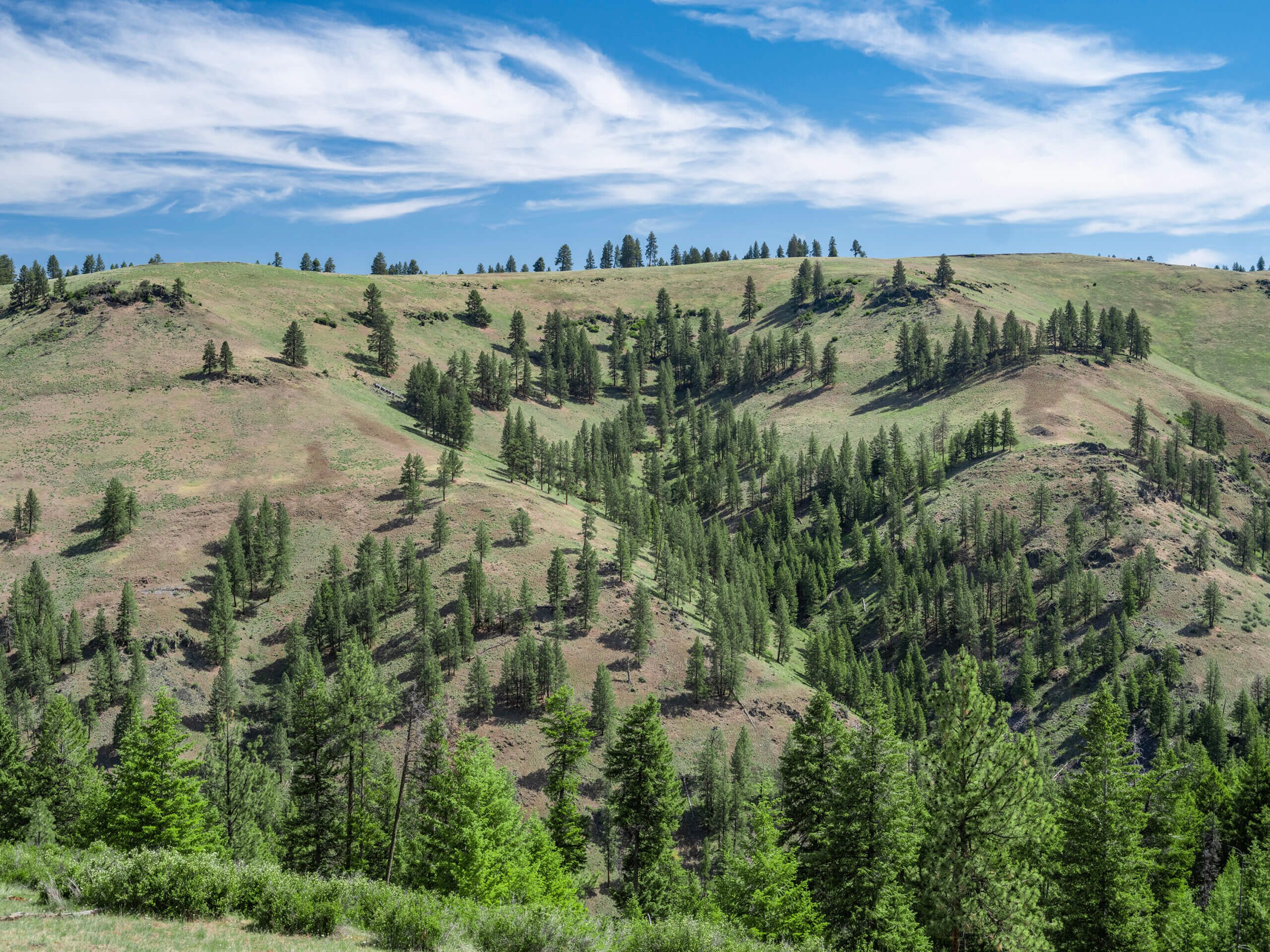 RMEF and Partners Work to Establish New Wildlife Area in Eastern Oregon ...