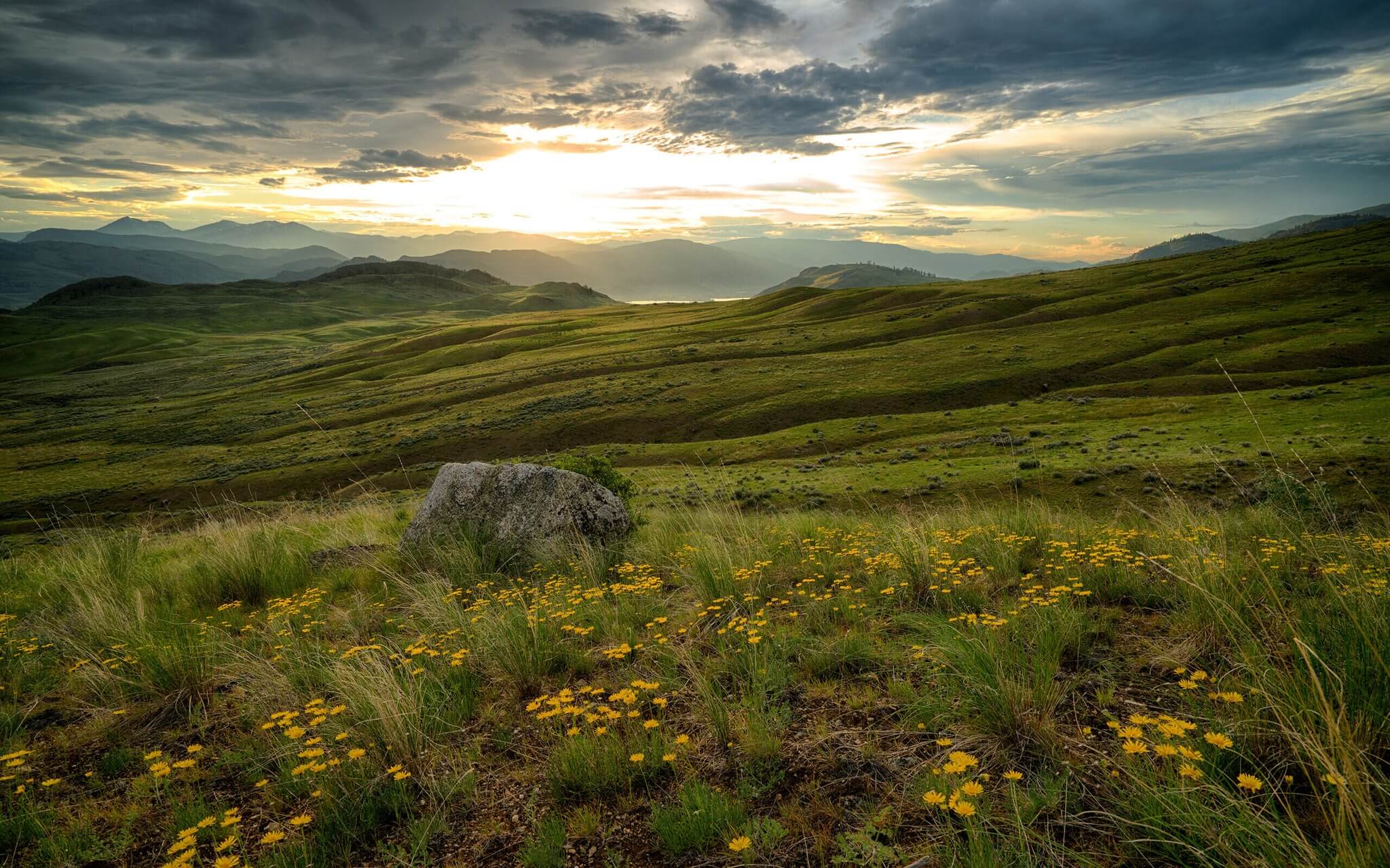 Washington Announces Big Game Hunting Pamphlet Cover Photo Contest ...