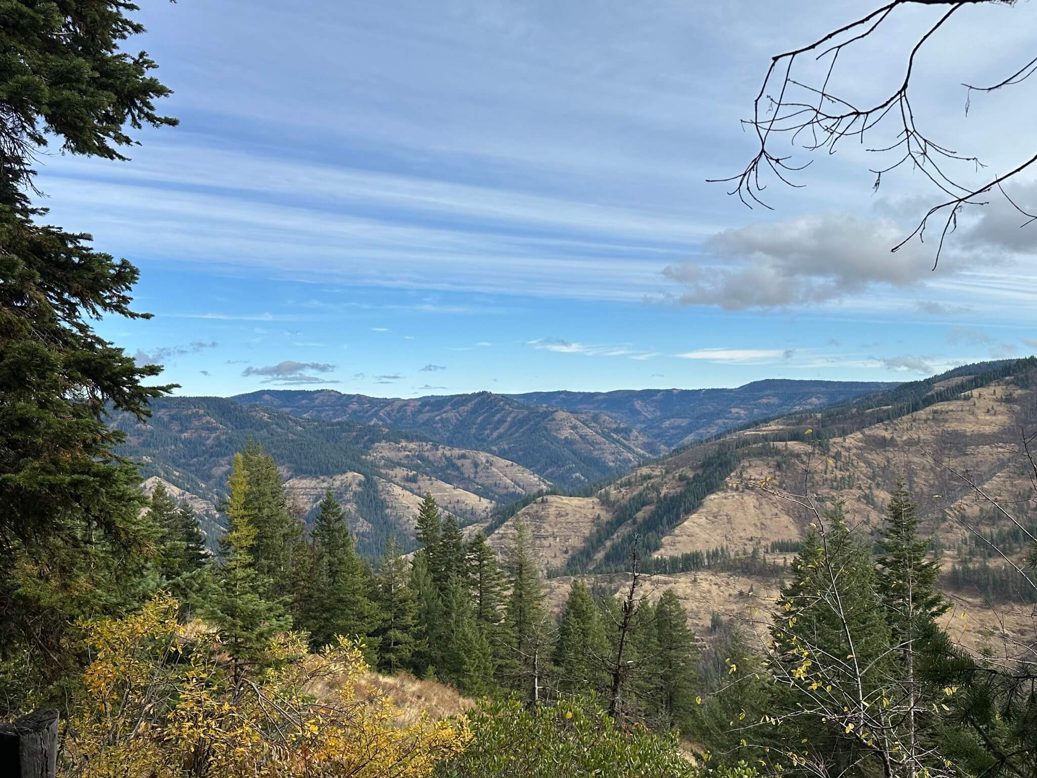 RMEF Emphasizes Big Game, Forest Management, Access in Blue Mountains ...