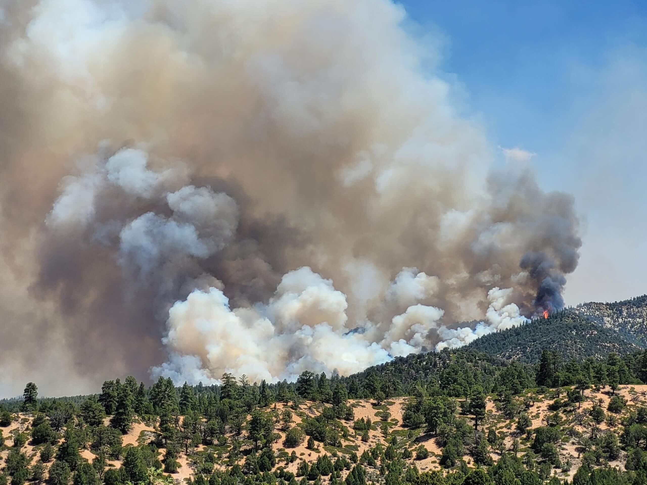 Senate’s Turn to Pass the Fix Our Forests Act | RMEF Media | Rocky ...