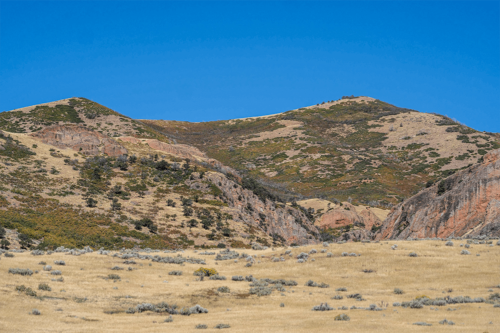 A Relentless Pursuit Saves Utah’s East Canyon | RMEF Media | Rocky ...