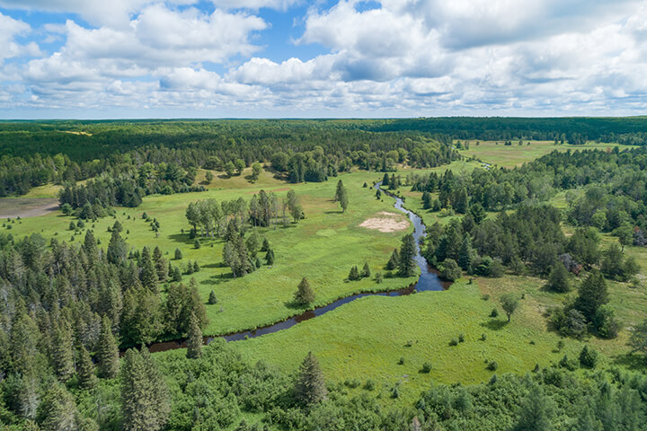 RMEF Helps Add 8,850 Acres of Public Land to Michigan’s Elk Country ...
