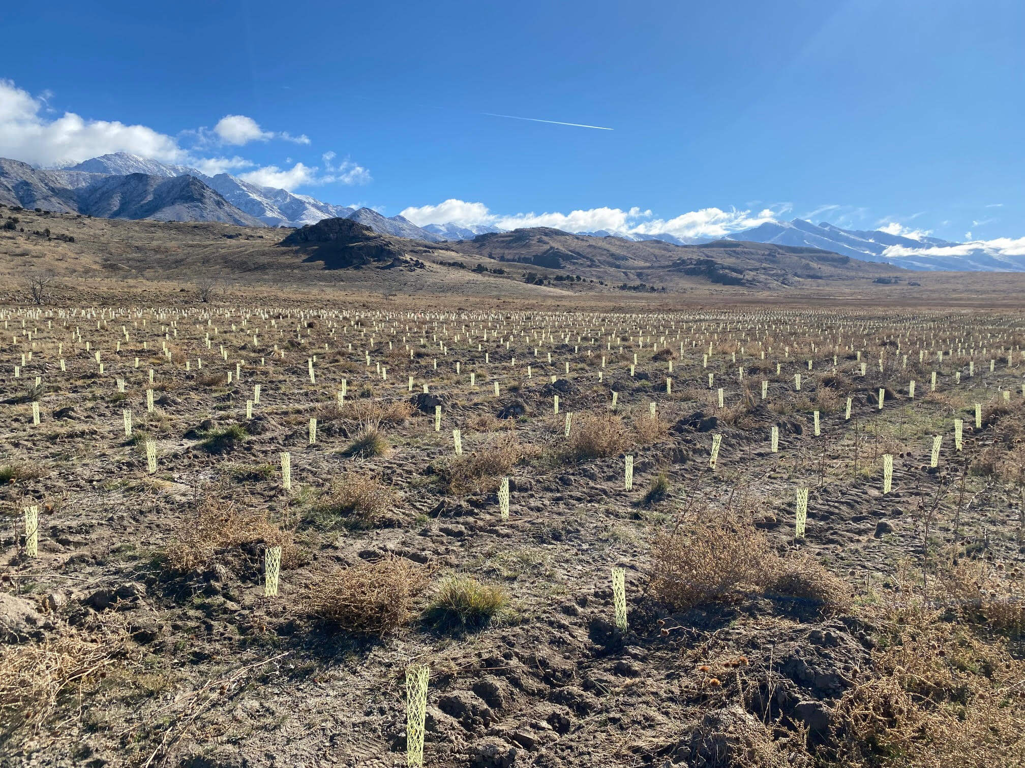 Improved Habitat is Good News for Utah Wildlife | RMEF Media | Rocky ...