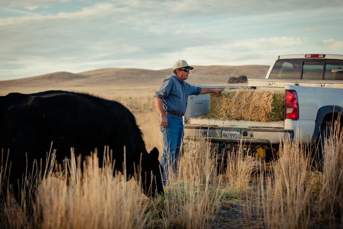RMEF Voices Support for Farm Bill Conservation Program | RMEF Media ...