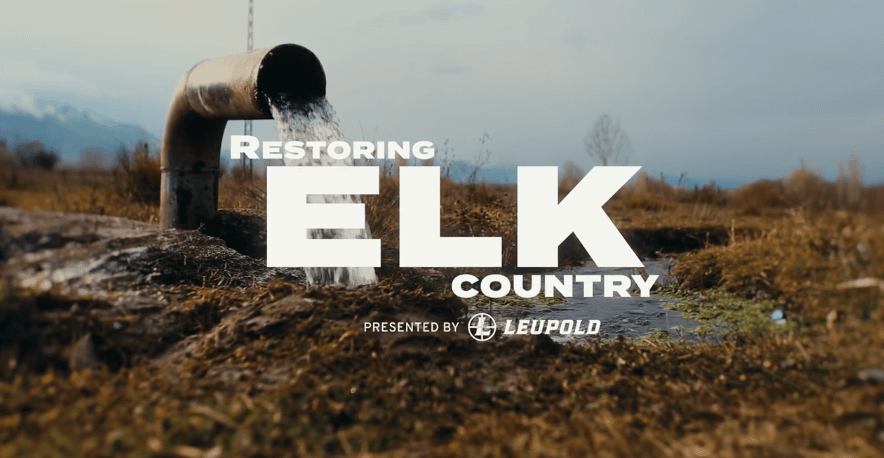 Restoring Elk Country | Mount Jumbo, MT Forest Thinning | RMEF Media ...