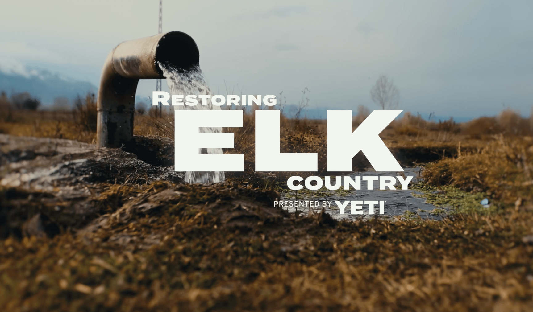 Restoring Elk Country: Bud Love WHMA Boundary Fence Project | RMEF ...