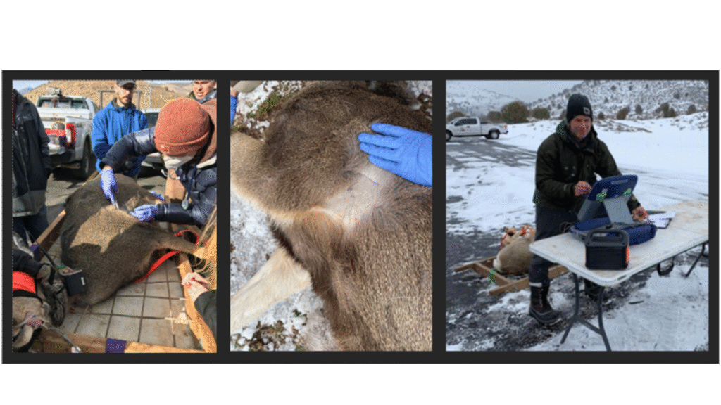 What Can Innovative Tech Teach Us About Big Game in the West? | RMEF ...