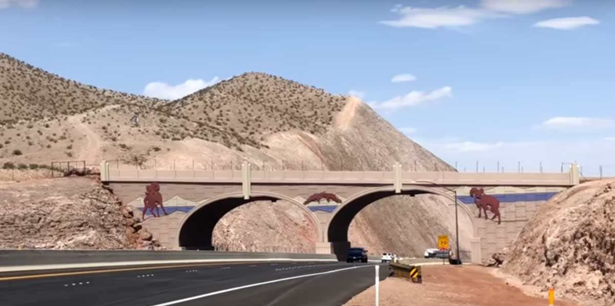 Arizona Wildlife Overpass Now in Operation | Rocky Mountain Elk Foundation