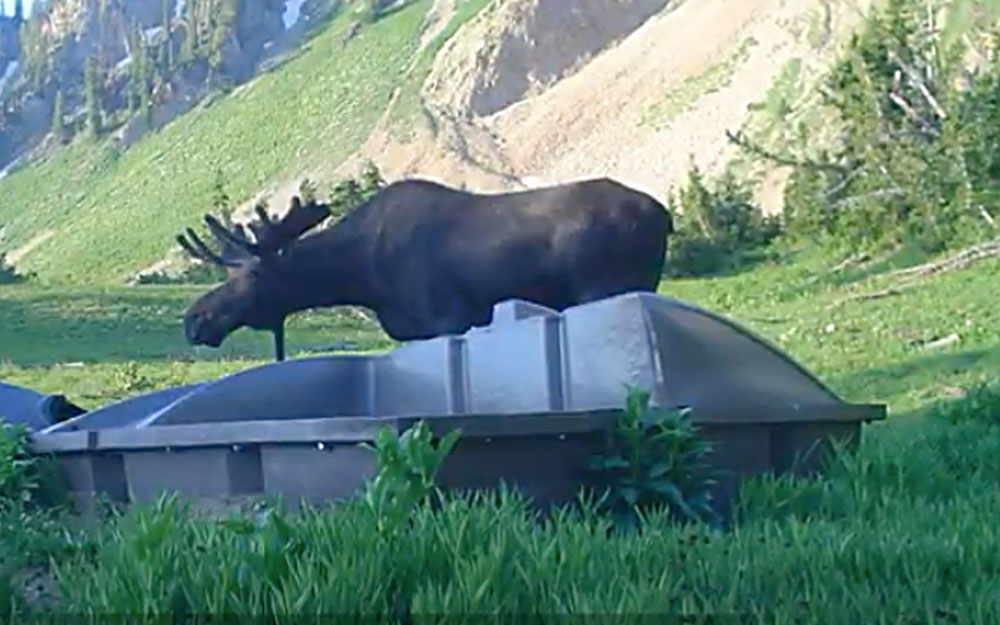 Water Guzzlers Benefit Utah Wildlife | Rocky Mountain Elk Foundation