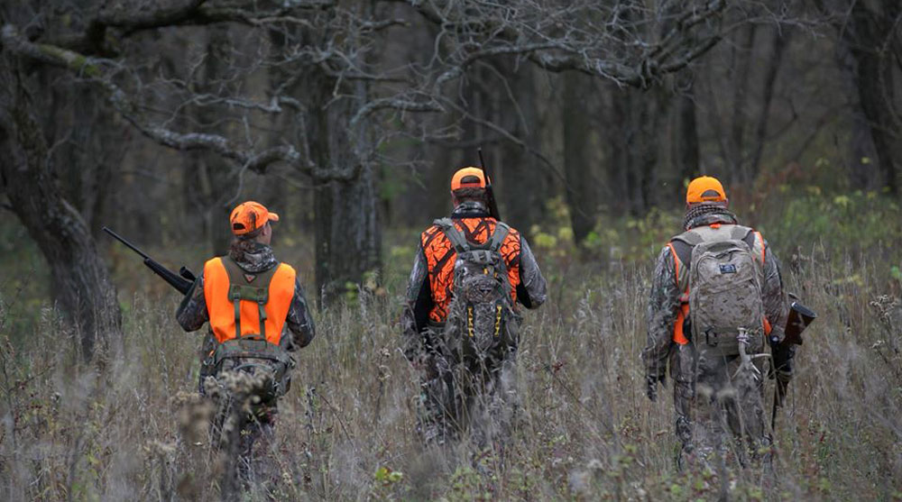 Nebraska Commission Approves Elk Hunt Recommendations | Rocky Mountain ...