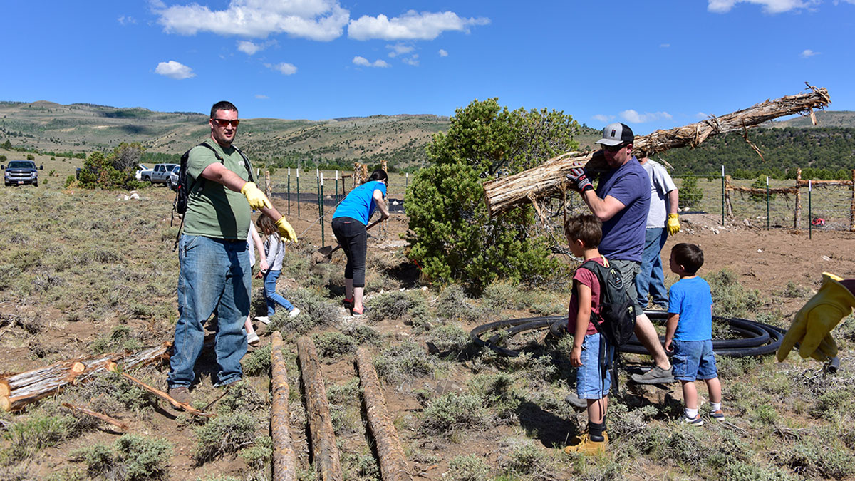 Utah Volunteers Give Elk, Other Critters Plenty to Guzzle About | Rocky ...