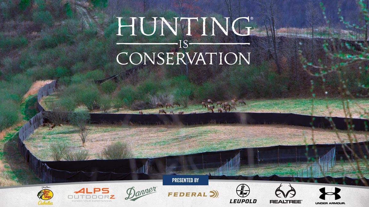 Hunting Is Conservation - Hunting Funds Elk Restoration | Rocky ...