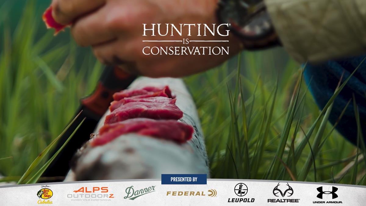 Hunting Is Conservation - The Economy of Wild Game | Rocky Mountain Elk ...