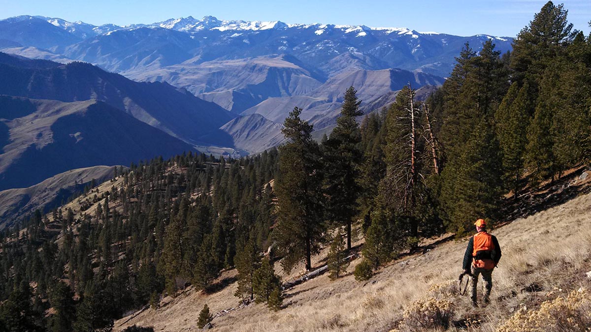 15.2 Billion Reasons Why Hunting Is Conservation | Rocky Mountain Elk ...