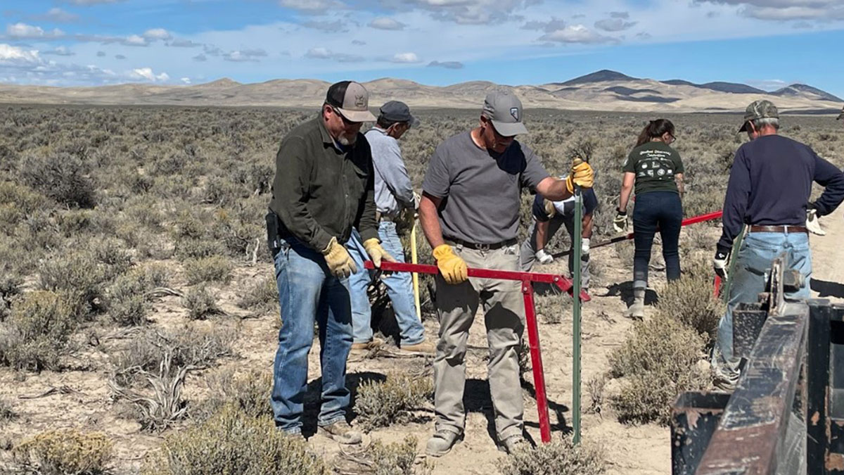 RMEF Volunteers Clear the Way for Nevada Elk | Rocky Mountain Elk ...